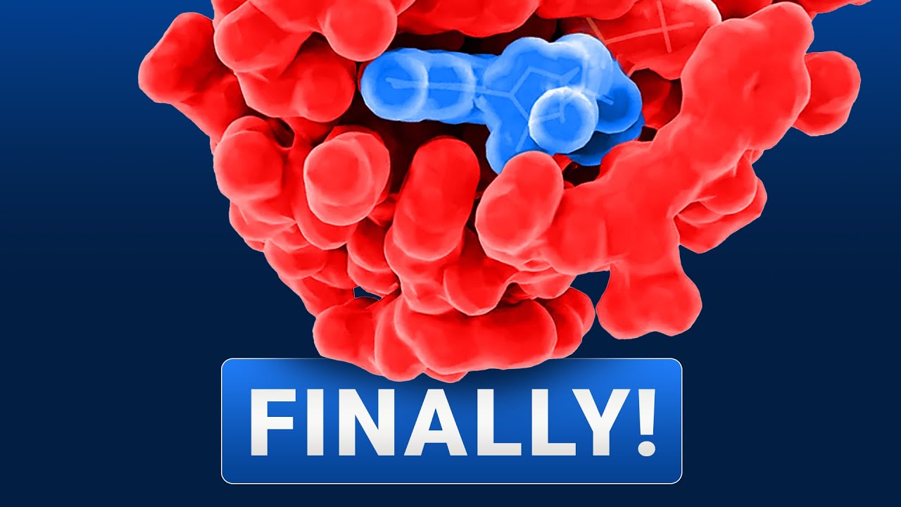 Unveiling the Wonders of AlphaFold: Transforming Science and ...