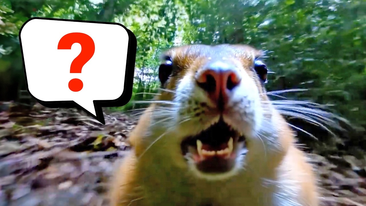 Exploring the Frontier of AI in Video Production - Learn AI With Kesse ...