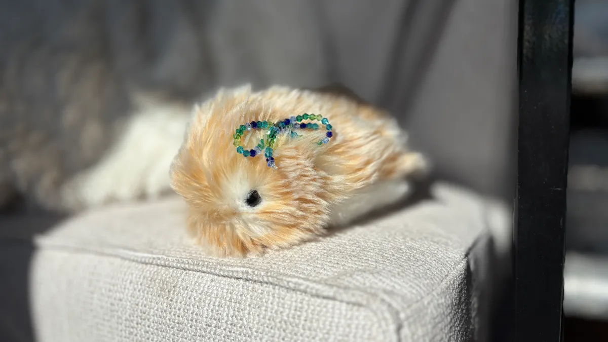 Living with the Casio Moflin AI Pet for One Month: A $430 Experience ...