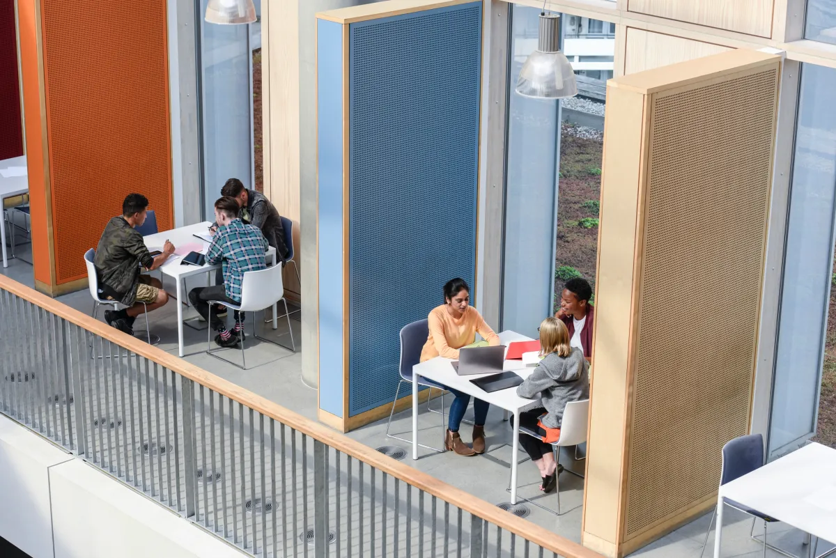 The significant departure of computer science students and their new ...